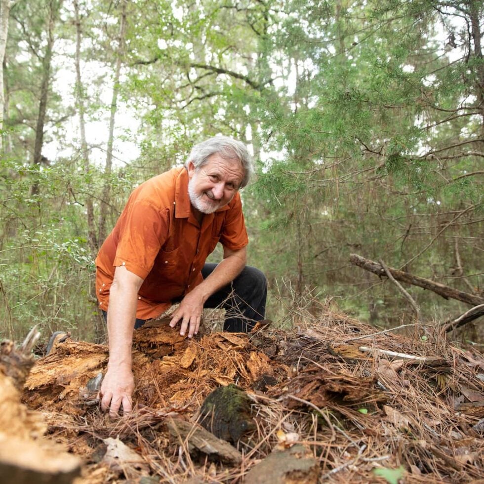 College of Natural Sciences | What Starts Here – UT Austin