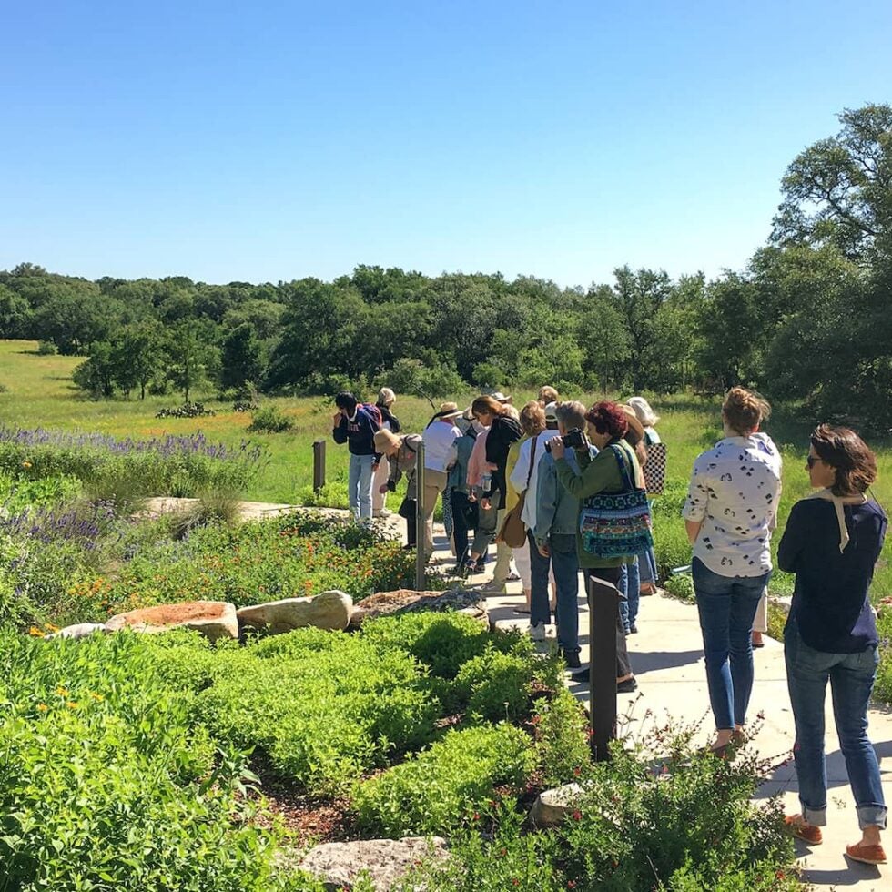 Lady Bird Johnson Wildflower Center | What Starts Here – UT Austin