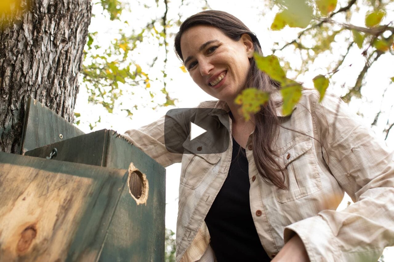 A Place to Explore and Grow - Giving to UT Austin